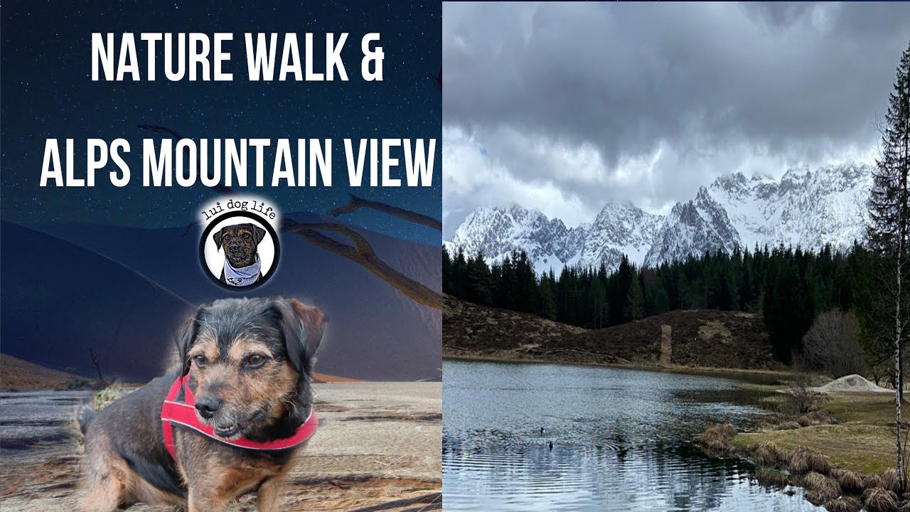 Lui Waldspaziergang & die Alpen Aussicht im März mit Celi #nature#berge ...