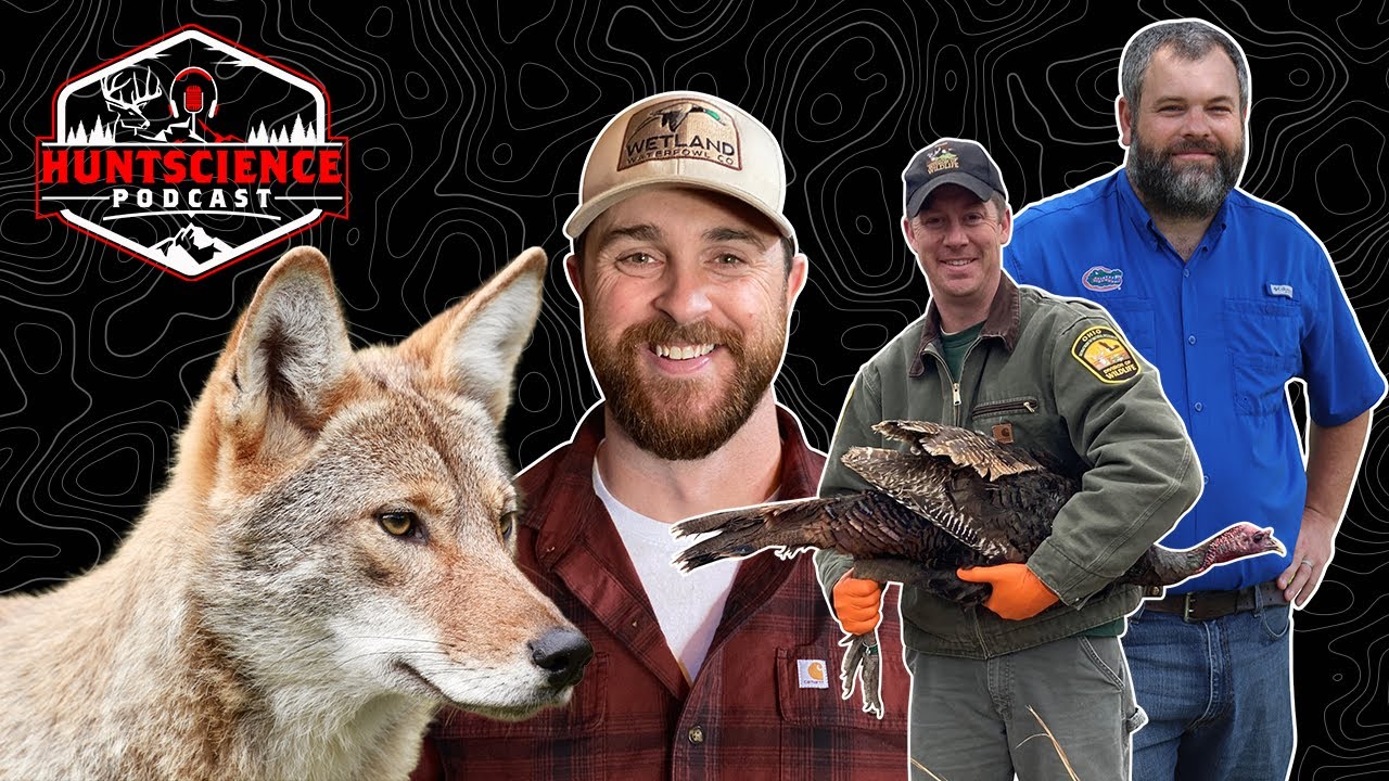 Turkey Hunting Success | Truth about Predators | Dr. Marcus Lashley and ...