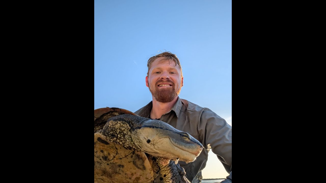 A Toad Headed turtle! - YouTube