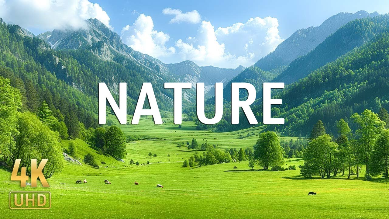 Relaxation Film 4K Peaceful Relaxing Music Nature 4k Video UltraHD ...