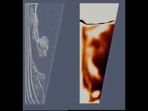 Bubble simulation of Guinness Beer : Euler v.s. Dpm with openFoam. - YouTube