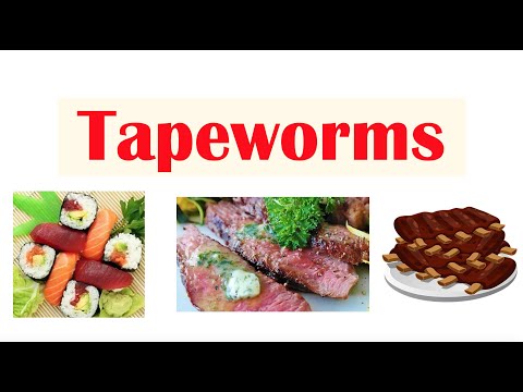Tapeworms | Transmission, Symptoms, Diagnosis, Treatment & Prevention