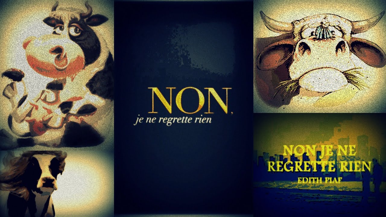 LIFE PURPLEXED 'NO REGRETS' - YouTube