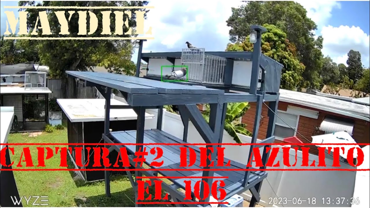 Captura #2 del a sulito el 106 - YouTube