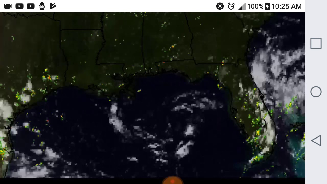 Gulf Monster I made this when I first saw it move in. Sept 14, 2019 ...