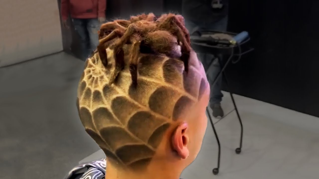 Tarántula de Pelos - YouTube