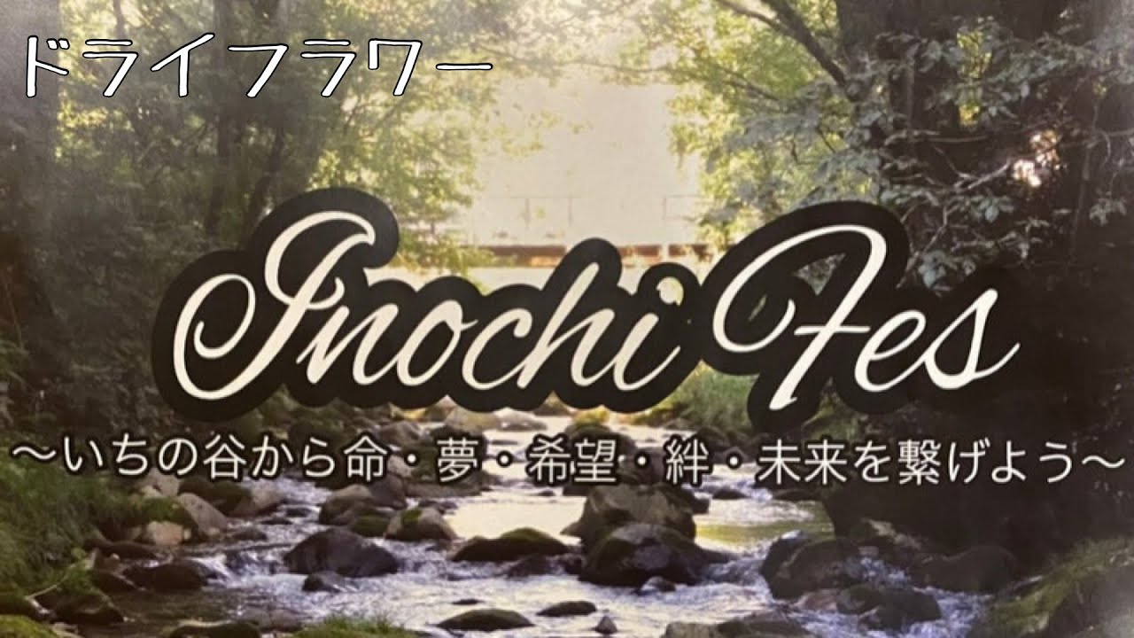 INOCHI FES in いちのたに タムヤス カバー曲【優里/ドライフラワー】 - YouTube
