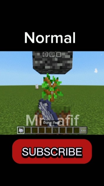 #minecraft#short - YouTube