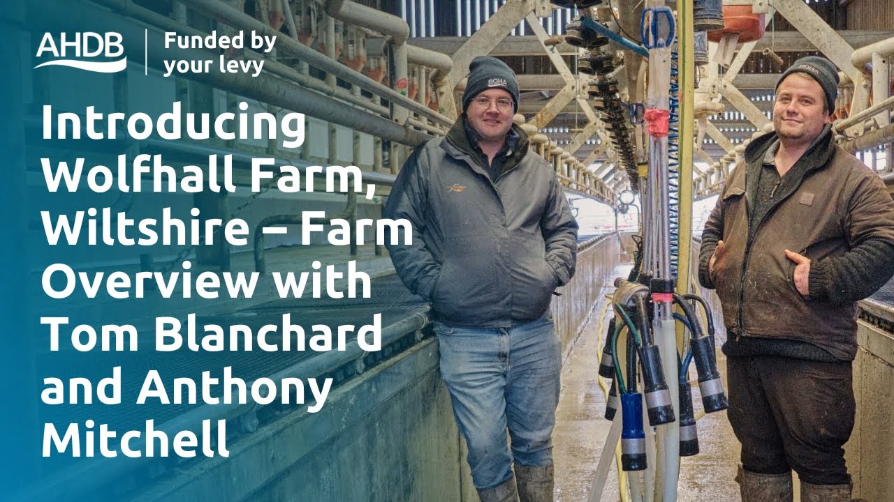 Introducing Wolfhall Farm, Wiltshire – Farm Overview with Tom Blanchard and Anthony Mitchell ...