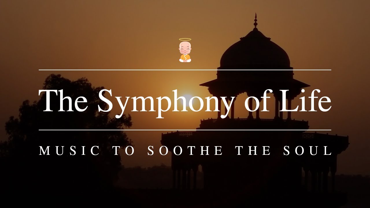 The Symphony of Life | Music To Soothe The Soul - YouTube