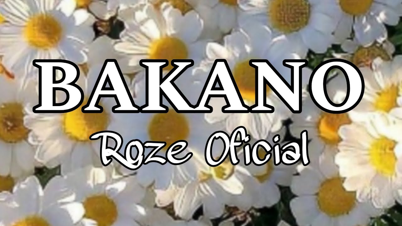 BAKANO - ROZE OFICIAL 🌹 - - YouTube