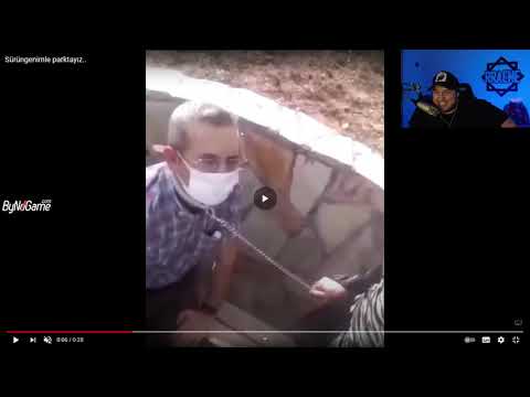 RRaenee - Sürüngenimle parktayız Duygusal