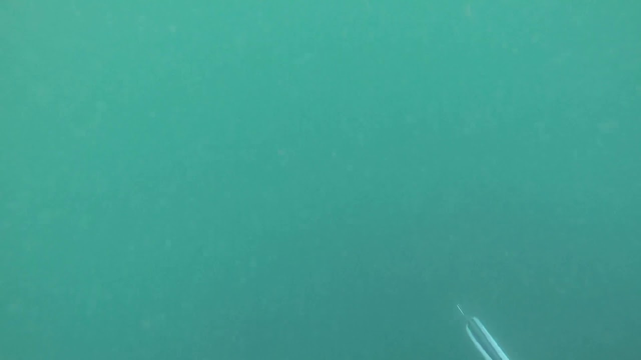 Pesca al agujero “congrio negro” - YouTube