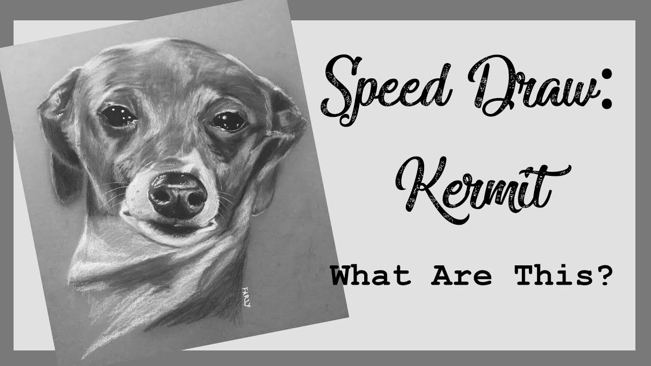Speed Drawing Kermit | What ARE This? - YouTube