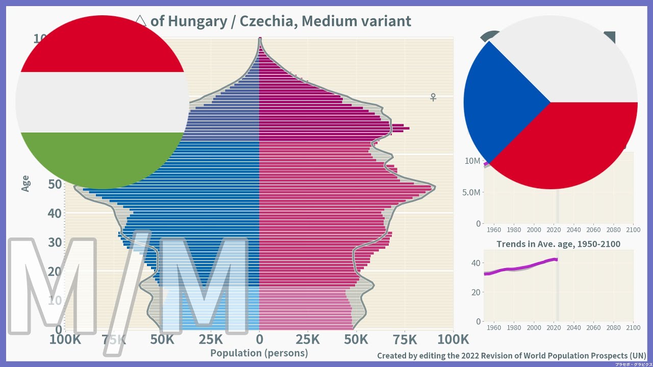 [🇭🇺Hungary vs 🇨🇿Czechia] Comparison of Population Pyramids (1950-2100 ...
