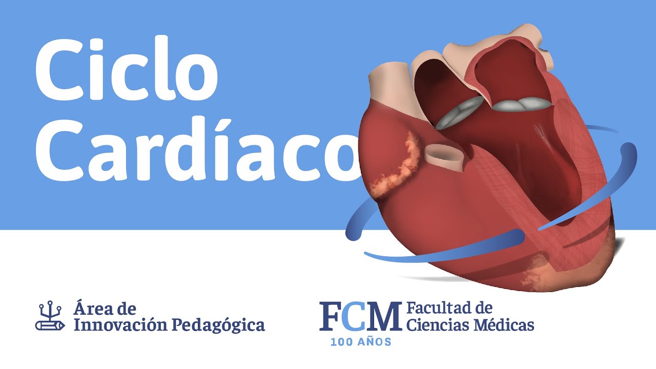 Fisiologia Cardiaca Ciclo Y Gasto Cardiacoppt Grandes Vasos Fisiologia