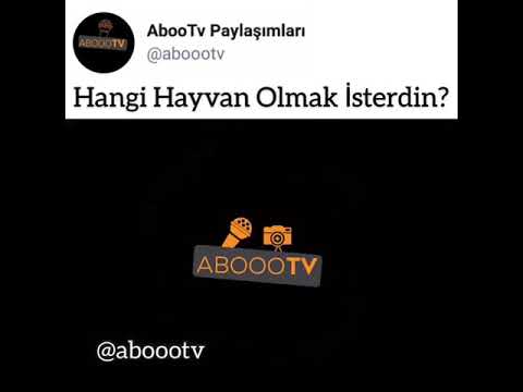 Hangi Hayvan Olmak İsterdin ?