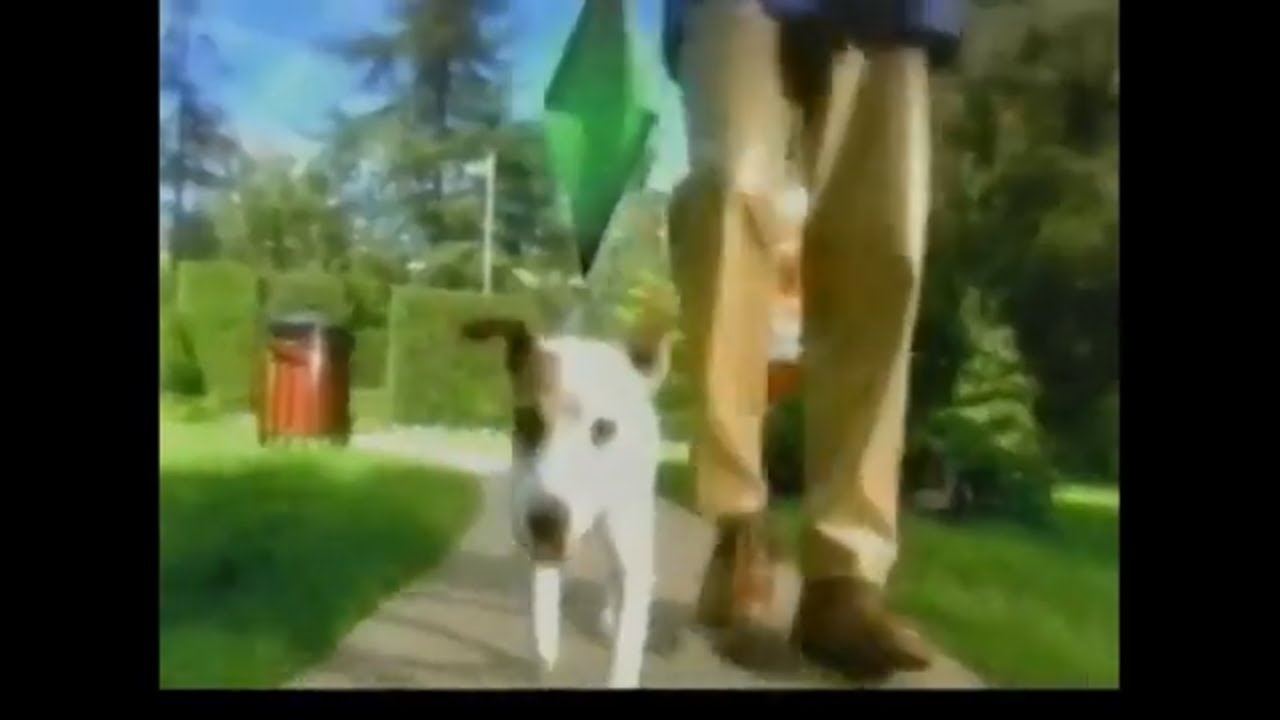 The SIMS Unleashed 2002 TV Commercial - YouTube