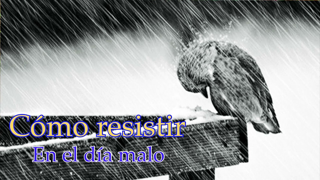 Desde la Biblia. Cómo resistir en el día malo. - YouTube