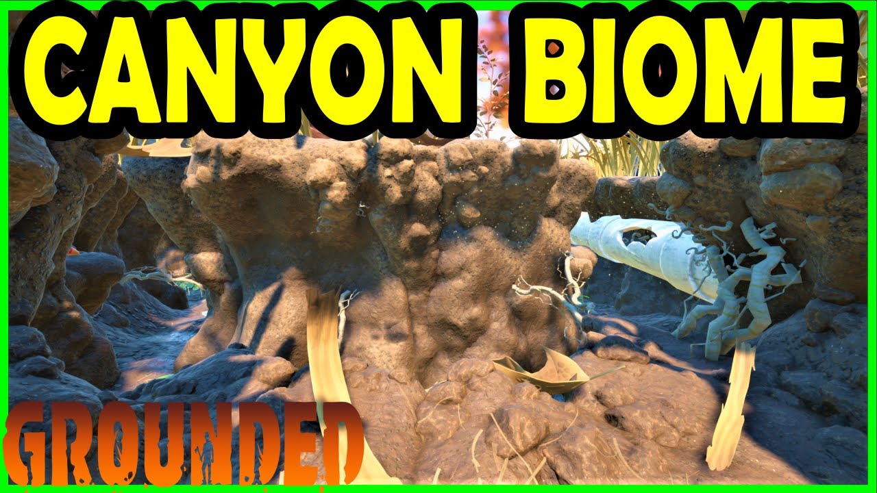 Canyon Biome in Grounded - YouTube