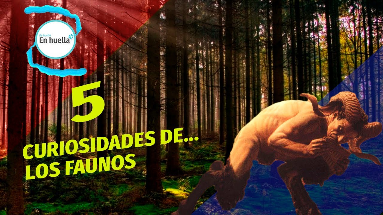 CINCO DATOS CURIOSOS DE... ¡LOS FAUNOS! - YouTube