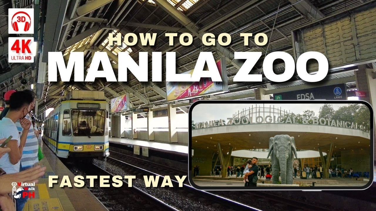 FULL GUIDE How To Go To Manila Zoo | For The Opening of Manila Zoo | 4K ...