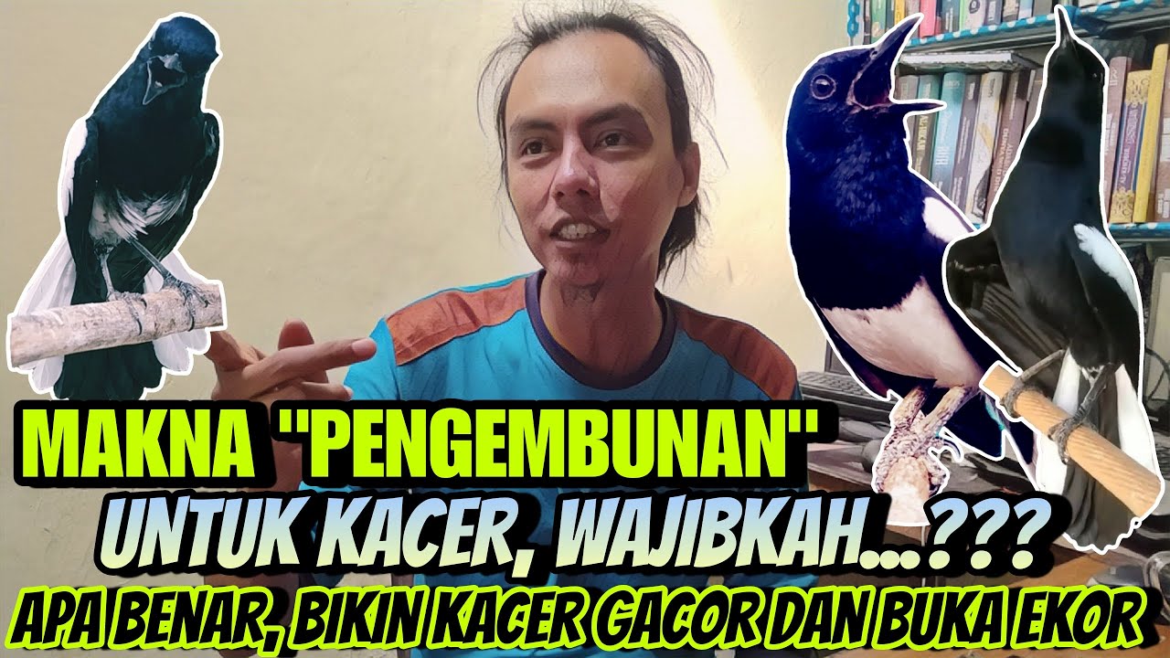 AWAS, JANGAN ASAL EMBUN ⁉️ TERNYATA BEGINI FUNGSI PENGEMBUNAN AGAR ...