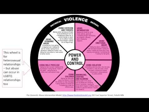 What is Domestic Violence? (Lesson 1)