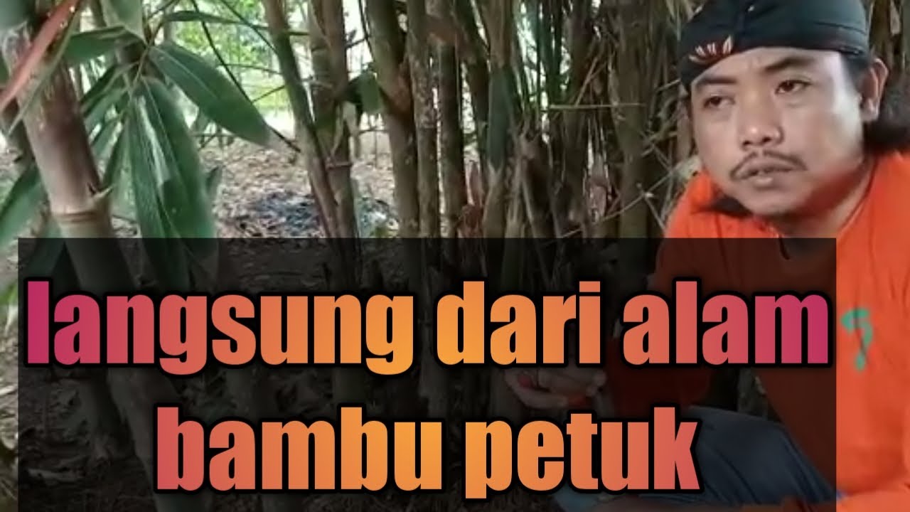 langsung dari alam bambu petuk ..... - YouTube
