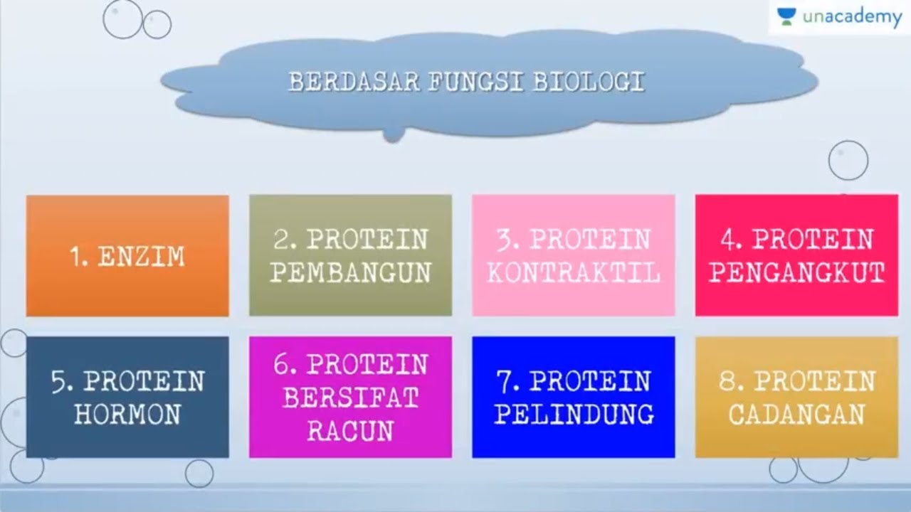 Klasifikasi Protein 2 (Kimia - SBMPTN, UN, SMA) - YouTube