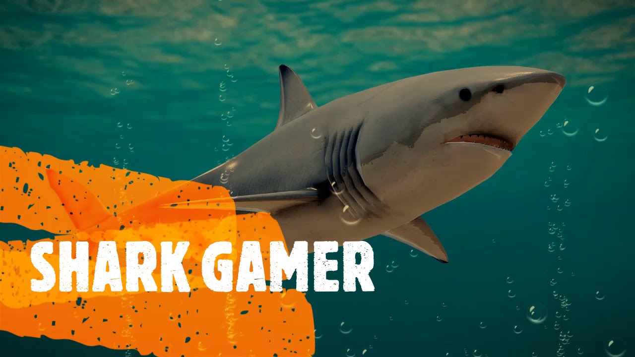 My Channel Animation thumble - YouTube