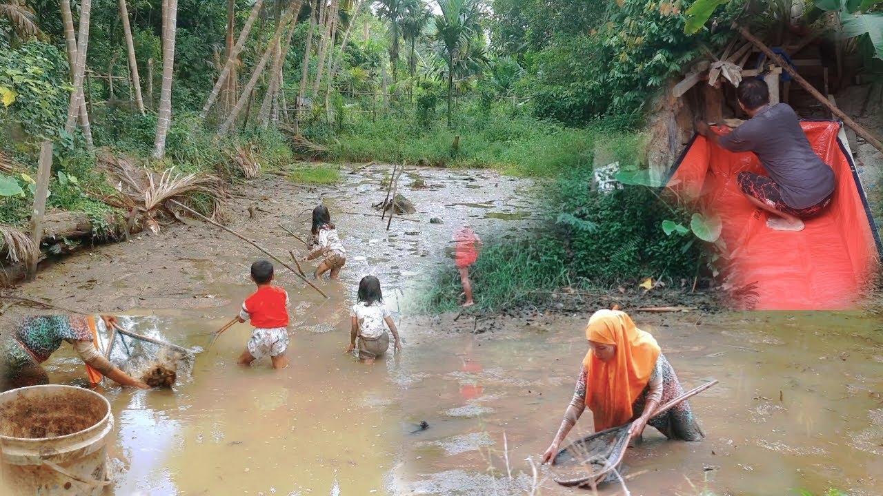 Rural Life, Pindahin Ikan Ke Kolam Baru, Kolam Terpal | Orang Desa ...