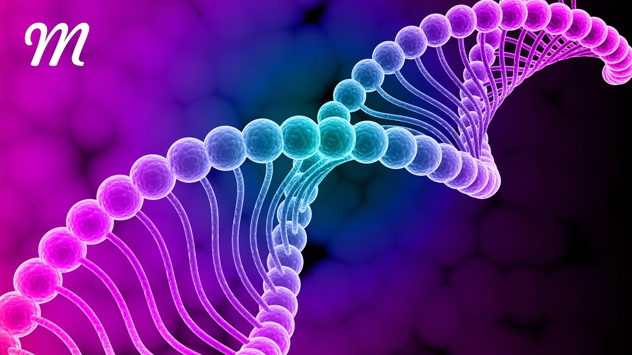 DNA Repair Music || 528Hz || DNA Healing Frequency || Positive ...