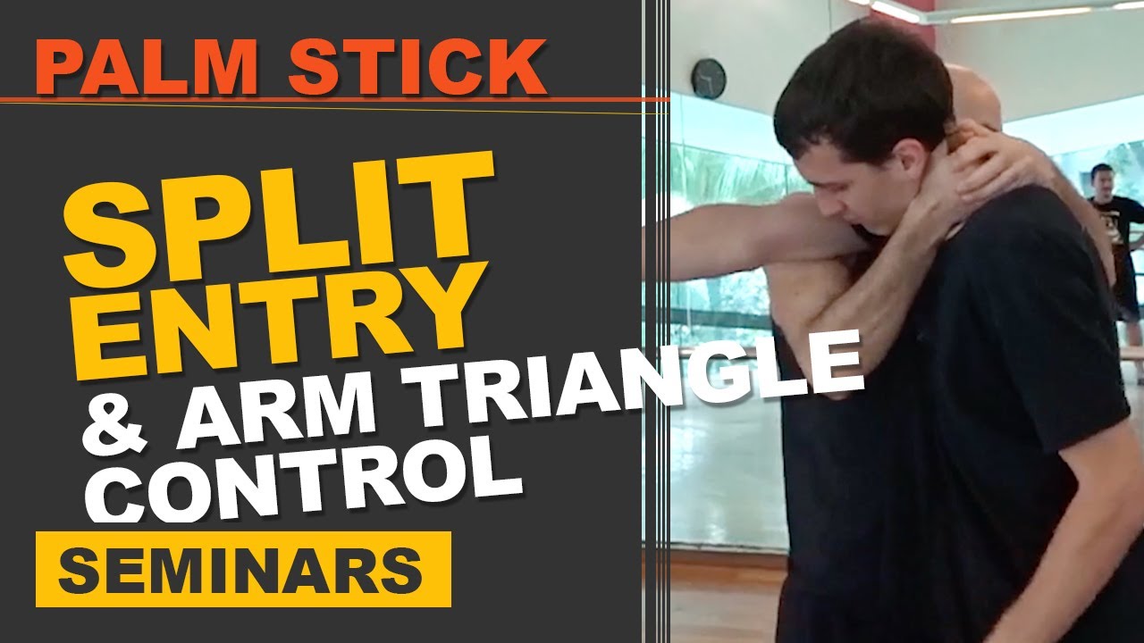 Palm Stick: Split Entry & Arm Triangle Control - YouTube