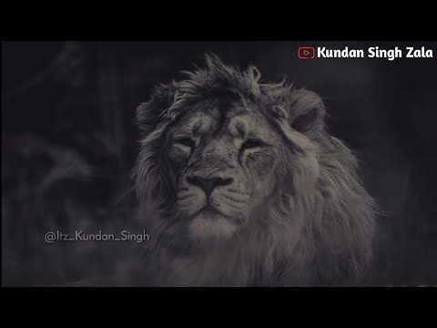 Tik Tok Дикая львицTrending Soundtrack || Tik Tok Viral Status Music || Kundan Singh Zala