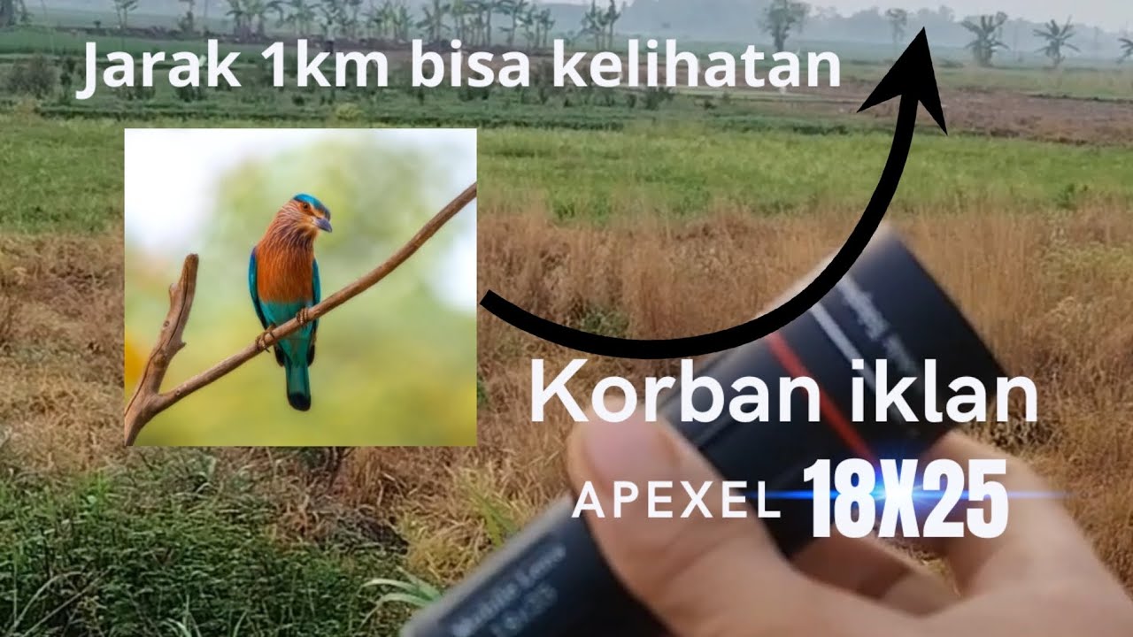 lensa apexel viral !! ||apexel 18x25 - YouTube