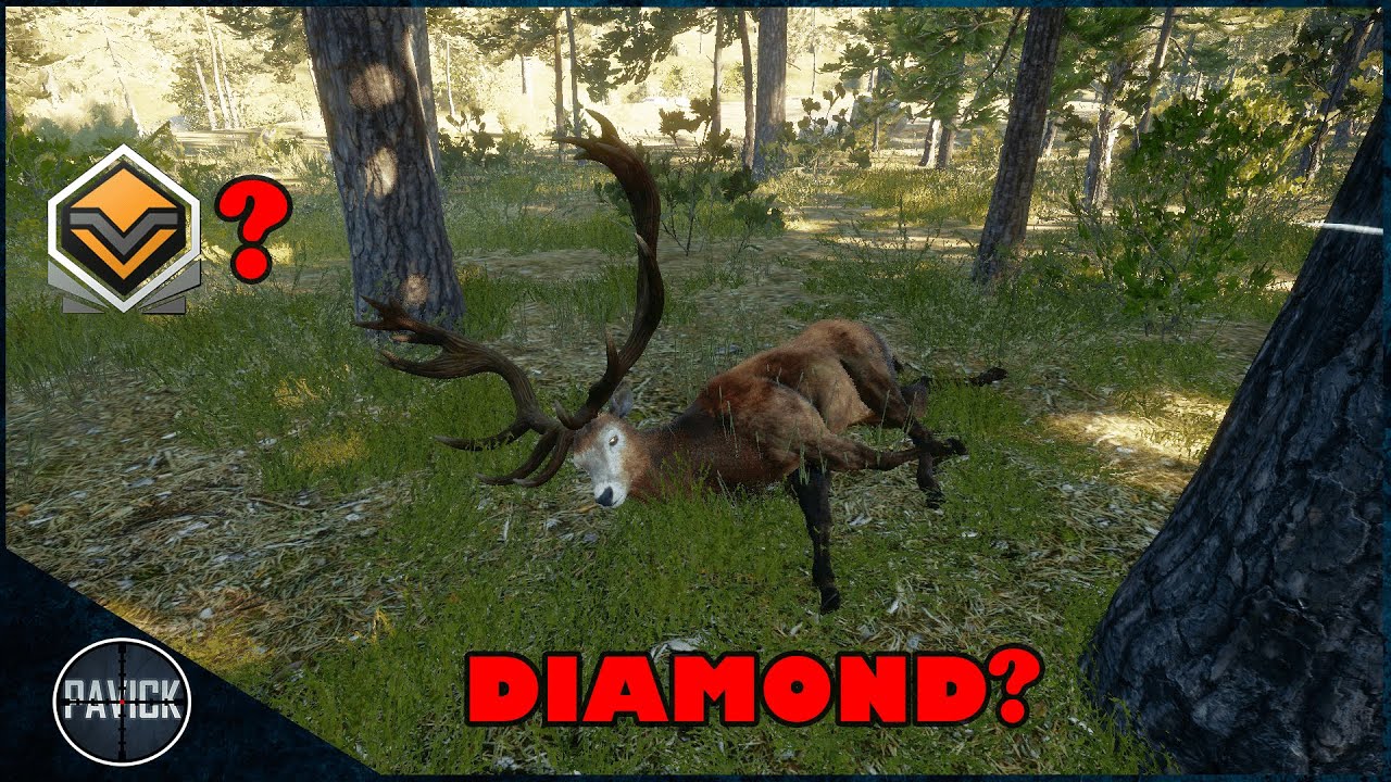 Diamond level 9 Red deer? - TheHunter: Call of the Wild - YouTube