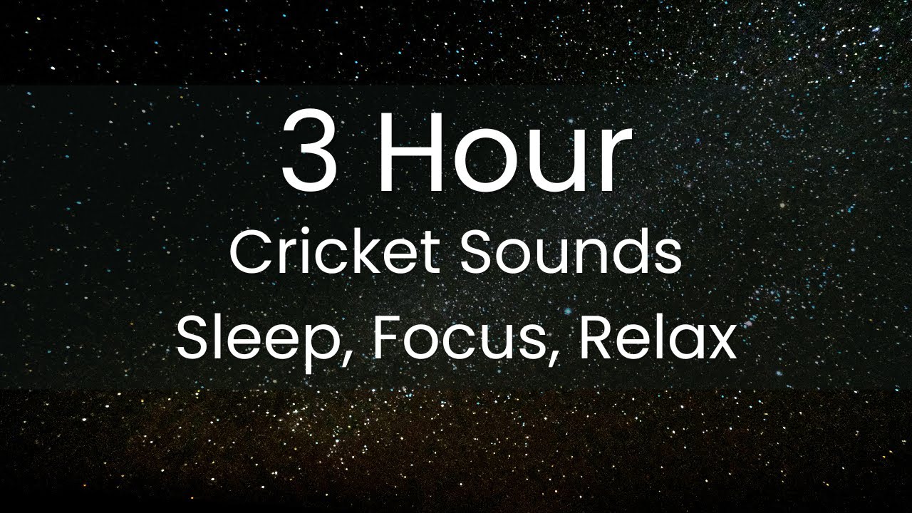 Cricket Sounds | Relax, Focus, Sleep | White Noise 3 Hours - YouTube