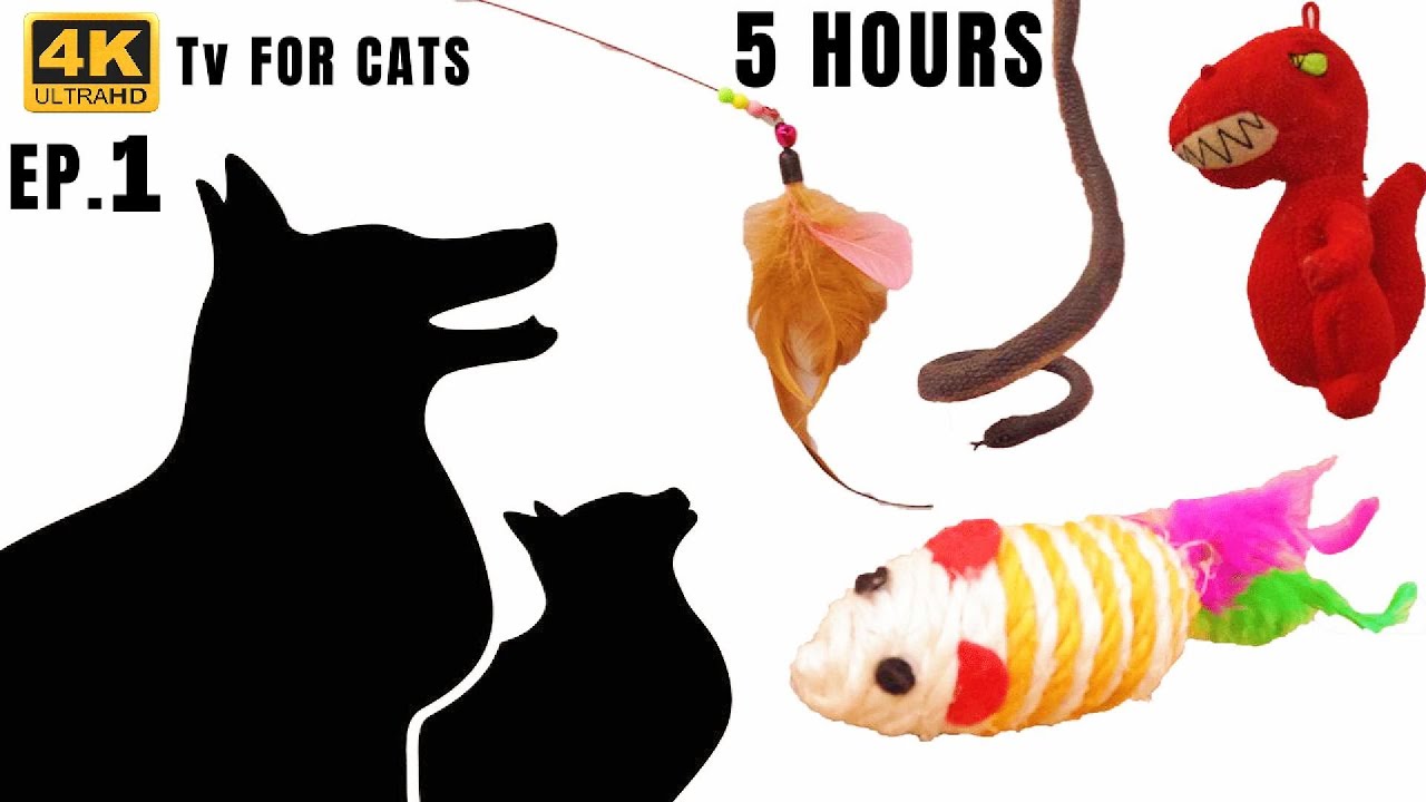 CAT GAMES *Epic Cat Playtime: Toy Snake, Mouse & Rope Fun in 4K 60FPS ...