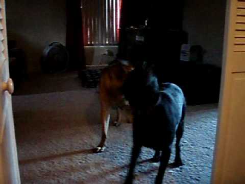 hungry jasmine.MOV - YouTube
