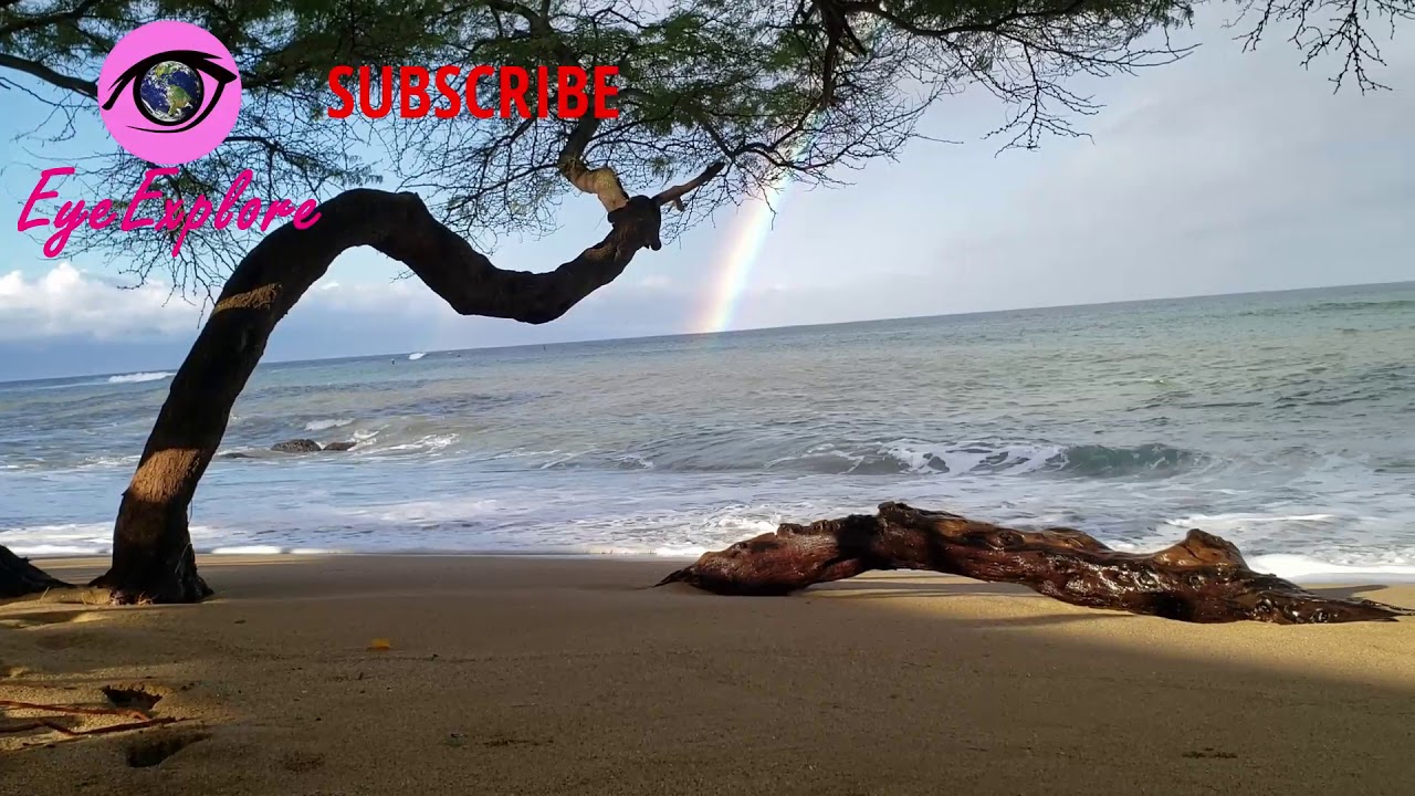 EyeExplore Intro - YouTube