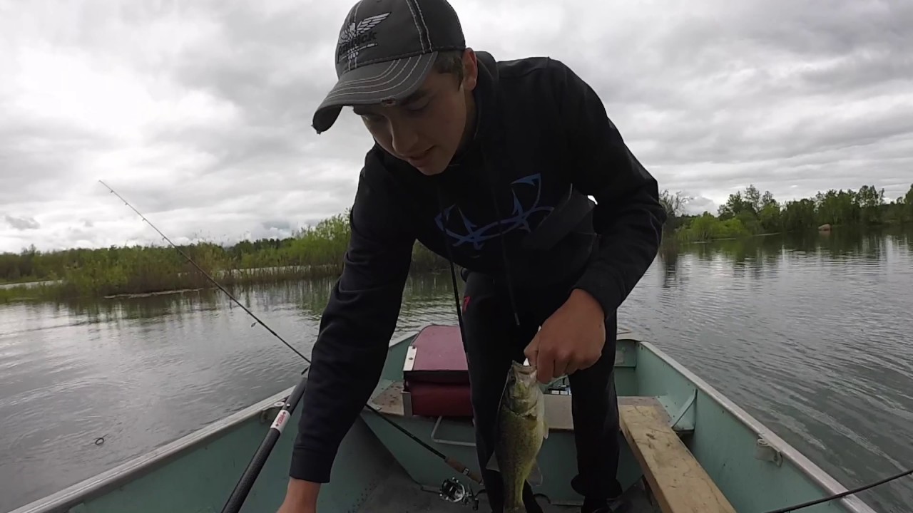 Reynolds Ponds - YouTube