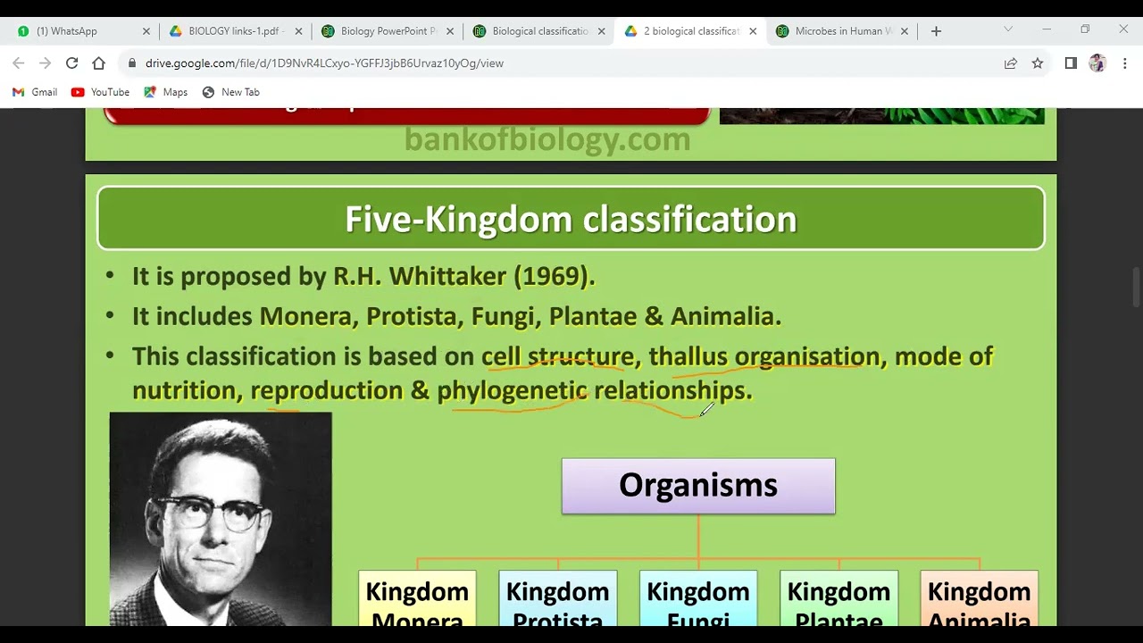 Five Kingdom Classification Ppt