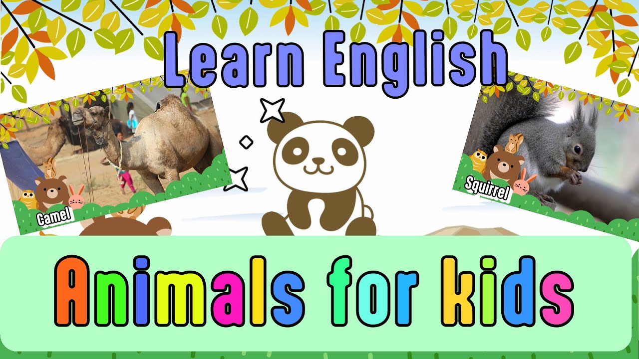 Baby Animals(Learn English vocabularies for Kids):move2 - YouTube