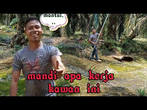 kawan kerja kayak mandi basah semua