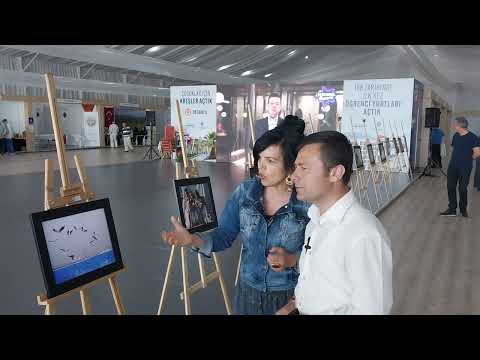 Resim yaparak,Fotoğraf Çekerek kendisini bula bir Sanatçı; Emine Toprak-HALİL DEMİR