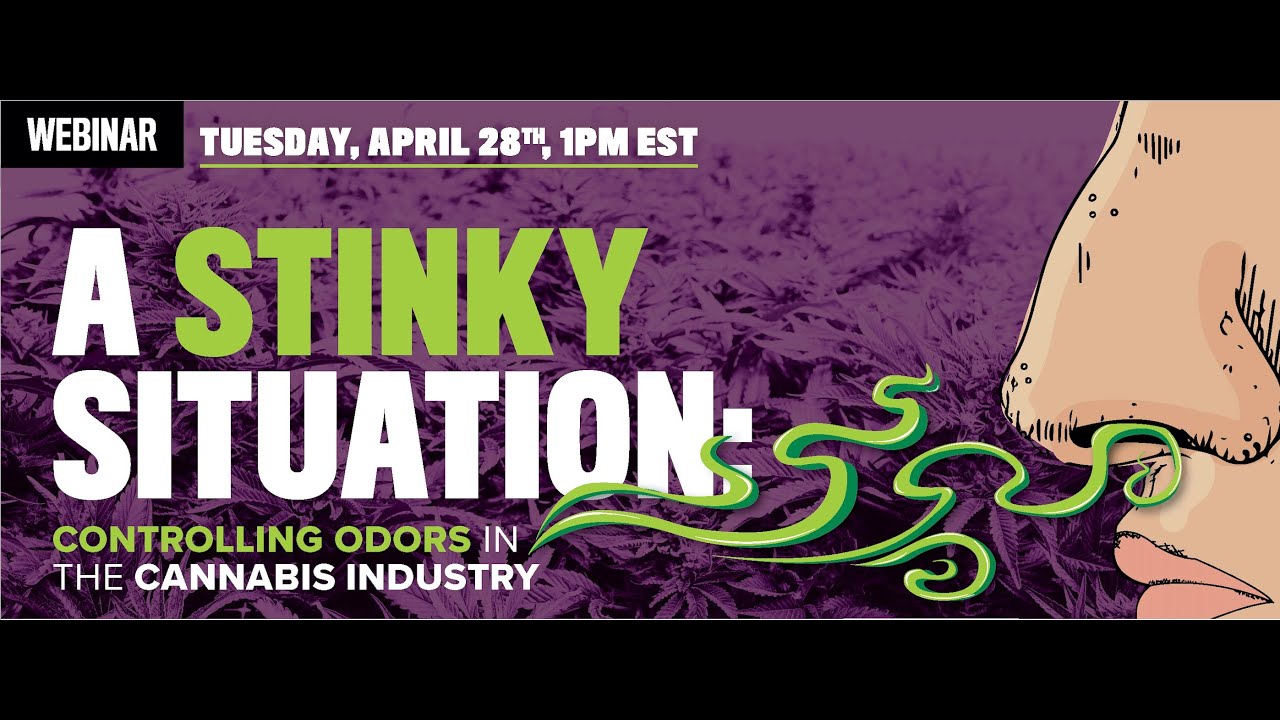 A Stinky Situation: Odor Control in the Cannabis Industry (webinar ...