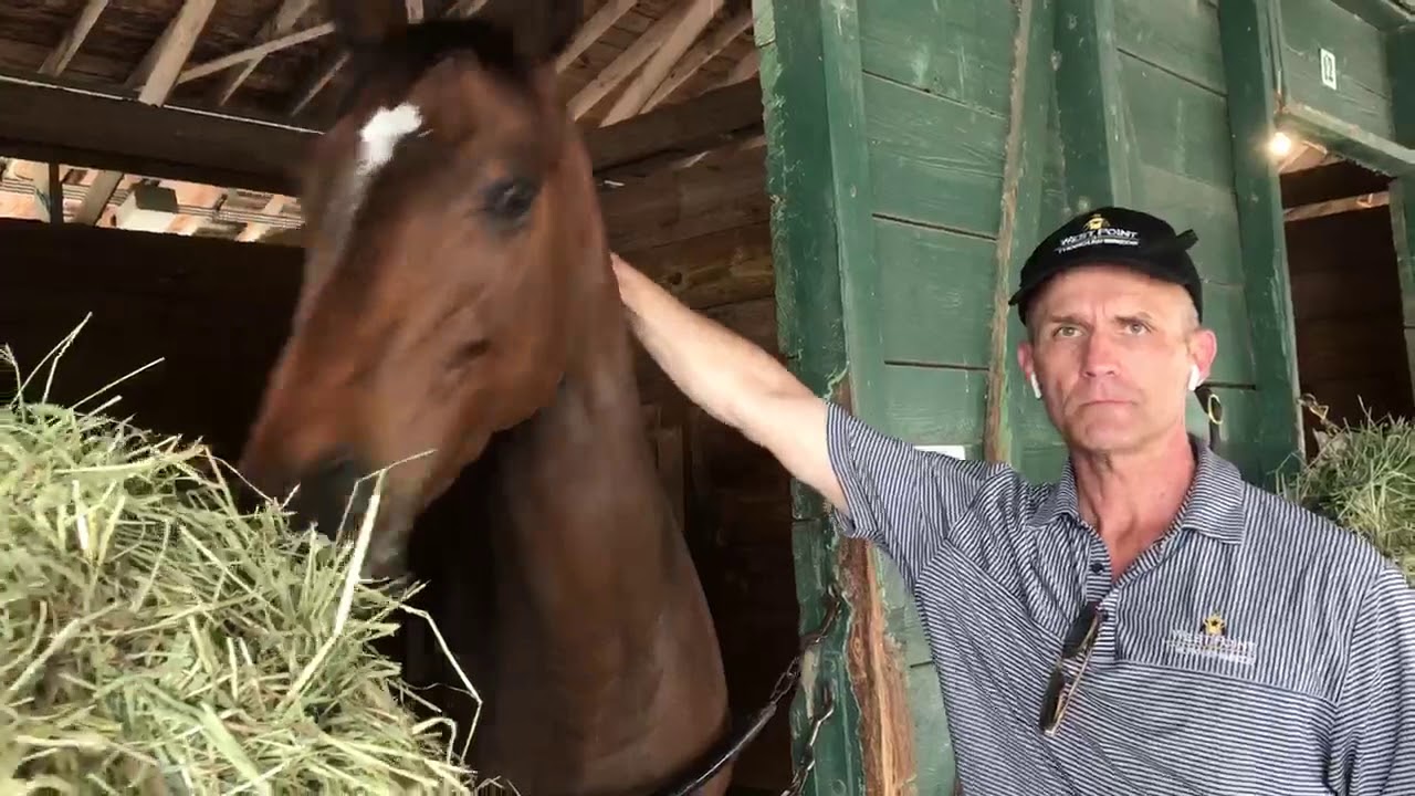 Maize N Blue with Terry Finley on 1/31 - YouTube