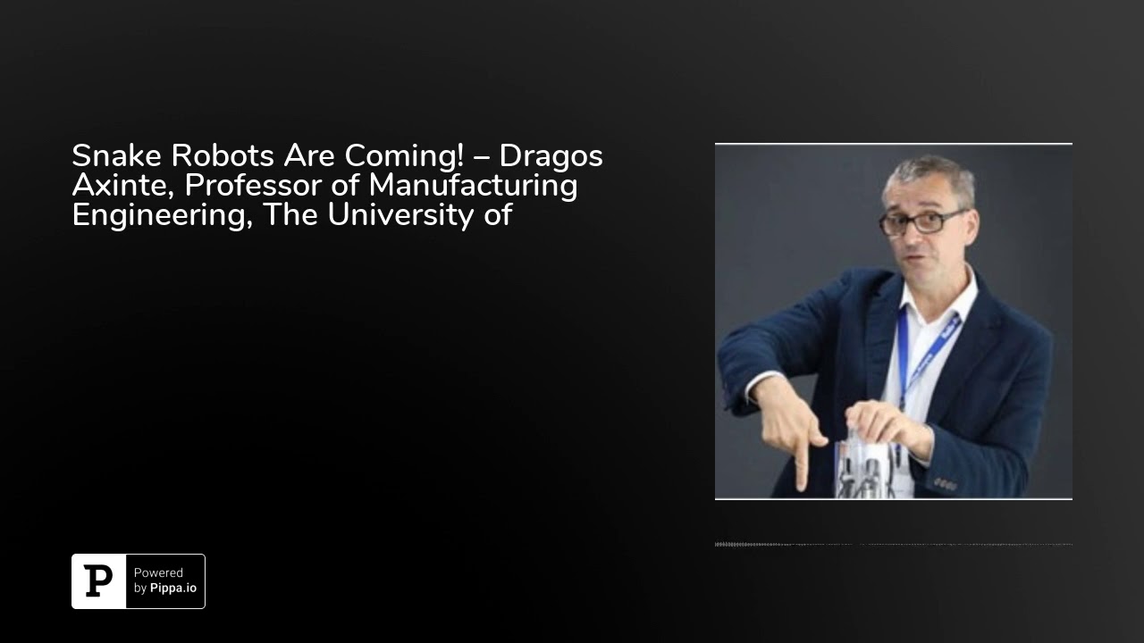 Snake Robots Are Coming! – Dragos Axinte, Professor of Manufacturing ...