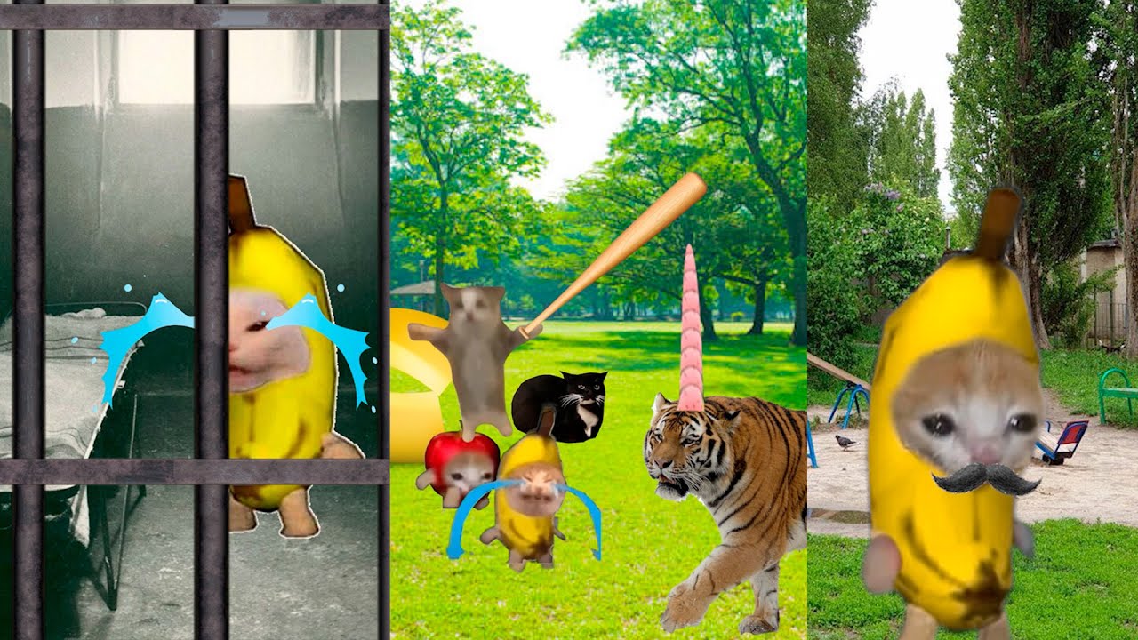 happy happy cat, banana cry compilation - YouTube